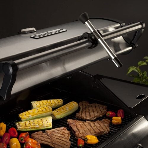 Cuisinart Grilluminate LED Grill Light Turns Dark In To Day - Meathead ...
