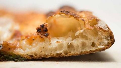 Perfect Neapolitan Style Pizza Dough