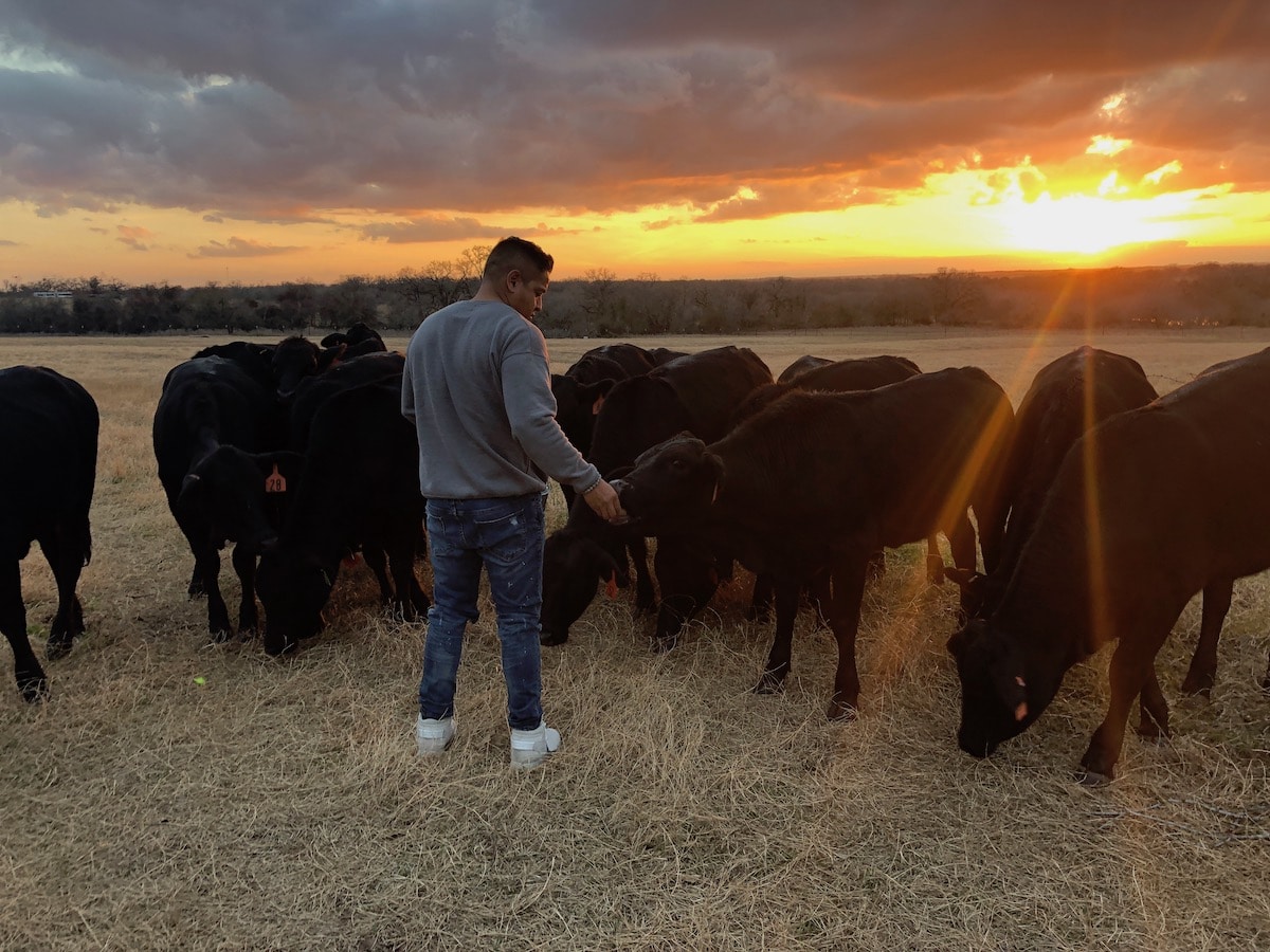 Whole Head, Pit Cooked Texas Barbacoa Recipe