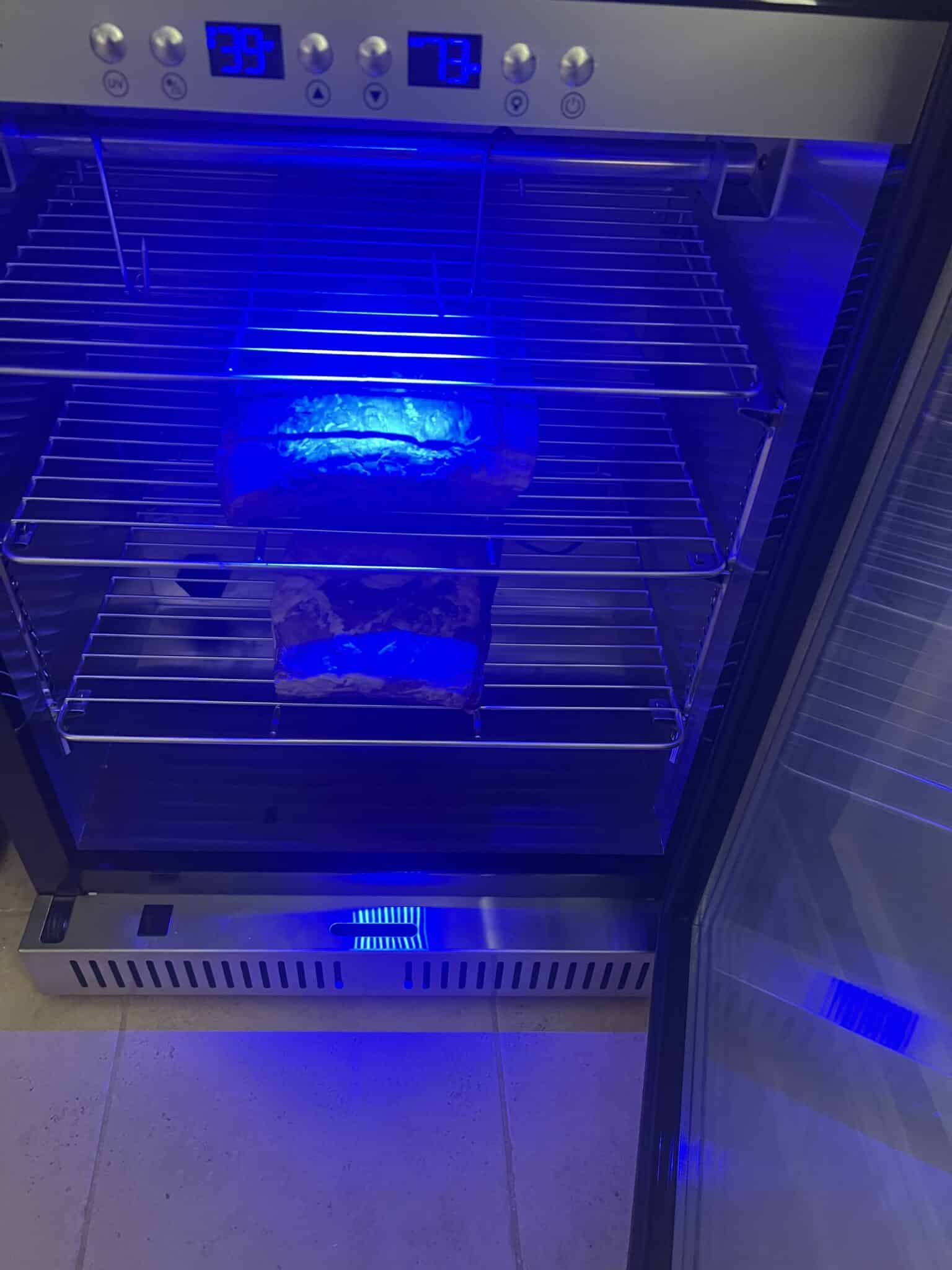 Steak Locker Home Dry Age Fridge SL150 Review And Rating